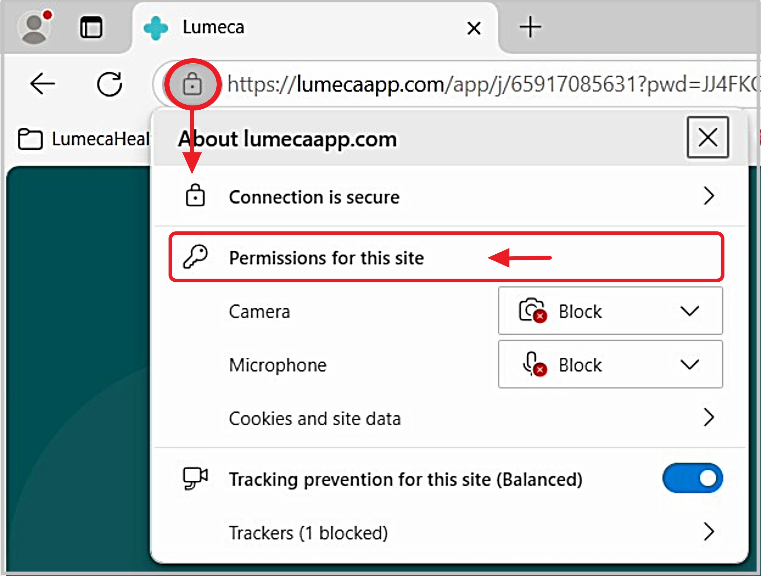 EDGE Browser - Camera & Microphone Permissions – Lumeca Health