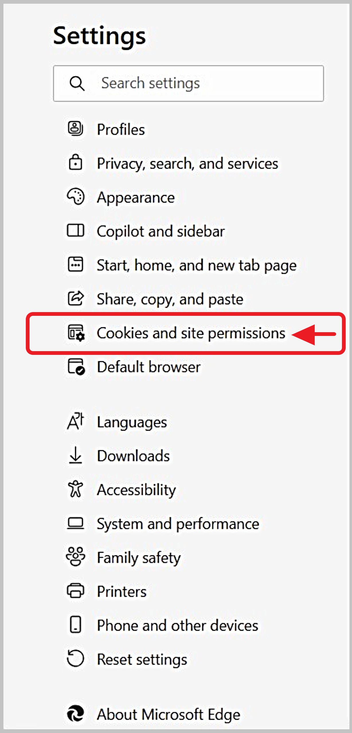 EDGE Browser - Camera & Microphone Permissions – Lumeca Health