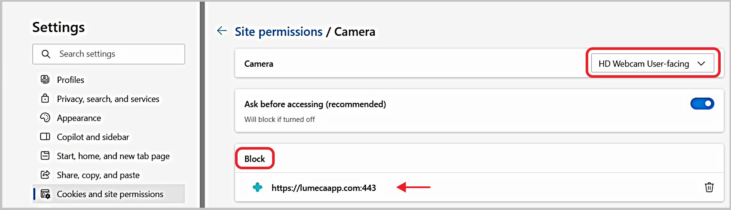 EDGE Browser - Camera & Microphone Permissions – Lumeca Health
